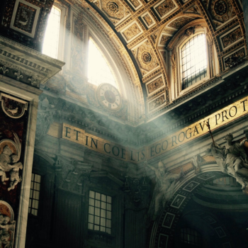 EXPERT COMMENT: How reading ‘dark academia’ novels can help new ...